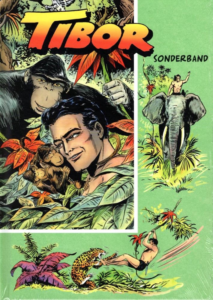 comicladen-sachsenhausen.de - Wildfeuer
